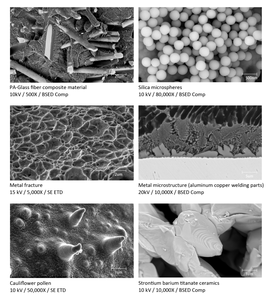 BSEM-400 Field Emission Scanning Electron Microscope BSEM-400 Field Emission Scanning Electron Microscope