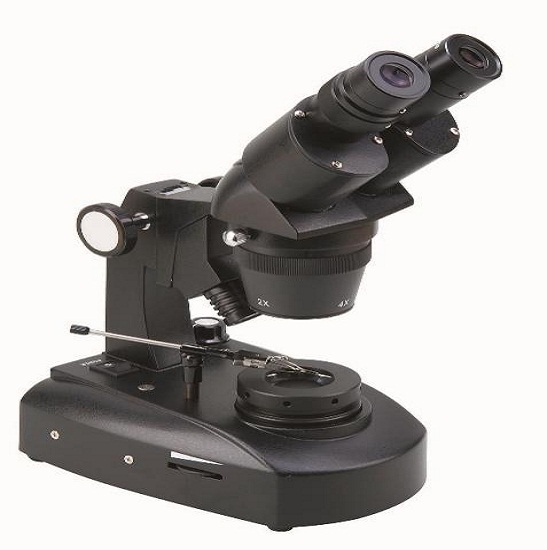 BS-8020B Gemological Microscope