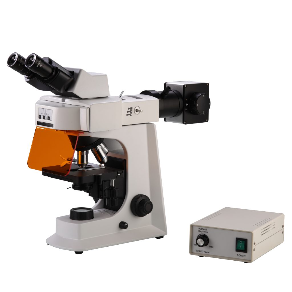 BS-2036FB(LED) Fluorescent Binocular Biological Microscope