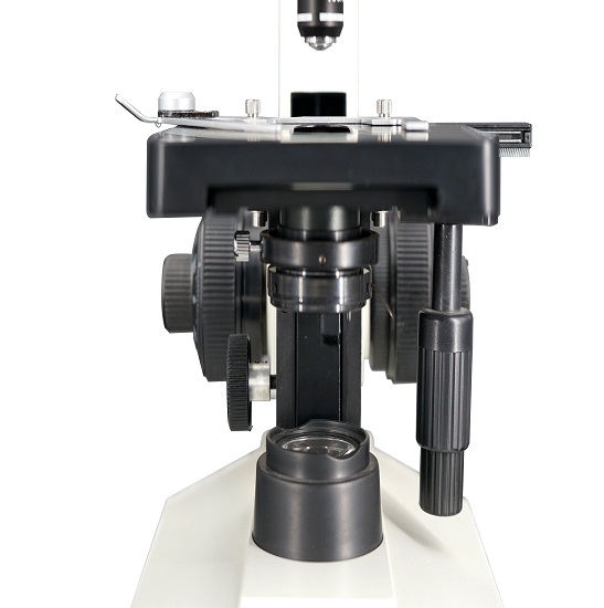 BS-2030T(500C) Digital Biological Microscope