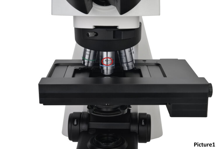 How to Calculate the Magnification of a Microscope?