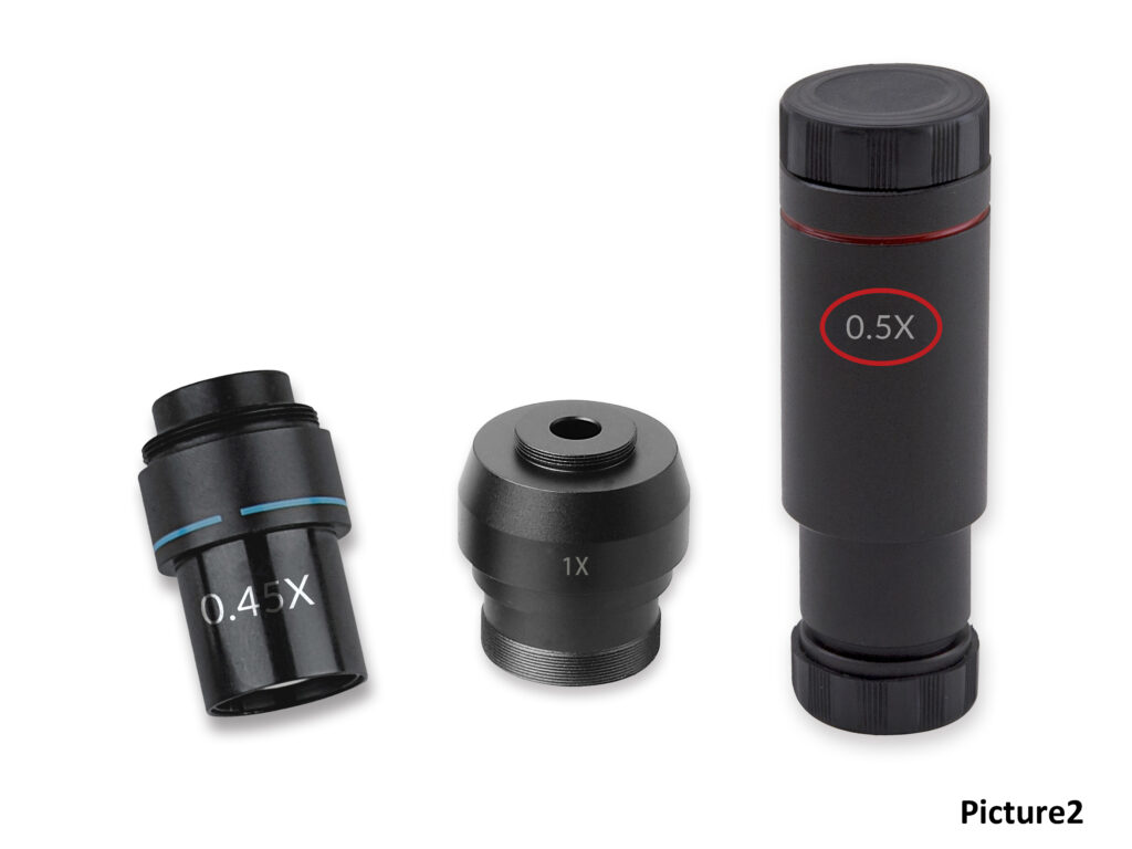 How to Calculate the Magnification of a Microscope?