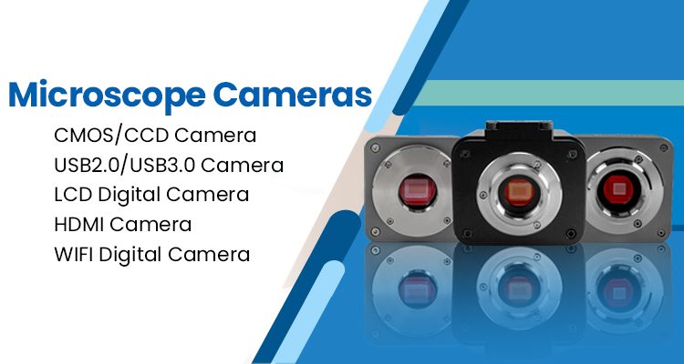 Microscope,Electron Microscope, Microscope Camera,Industrial Camera ...