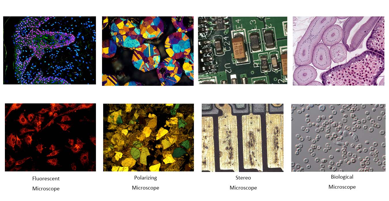 How to Choose a Microscope?