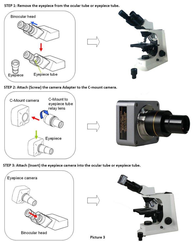 How to Connect Your Camera to the Microscope?