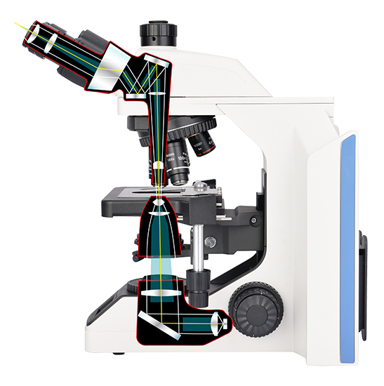 BS-2076B Binocular Research Biological Microscope