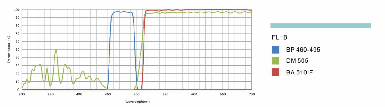 What is a fluorescence filter?