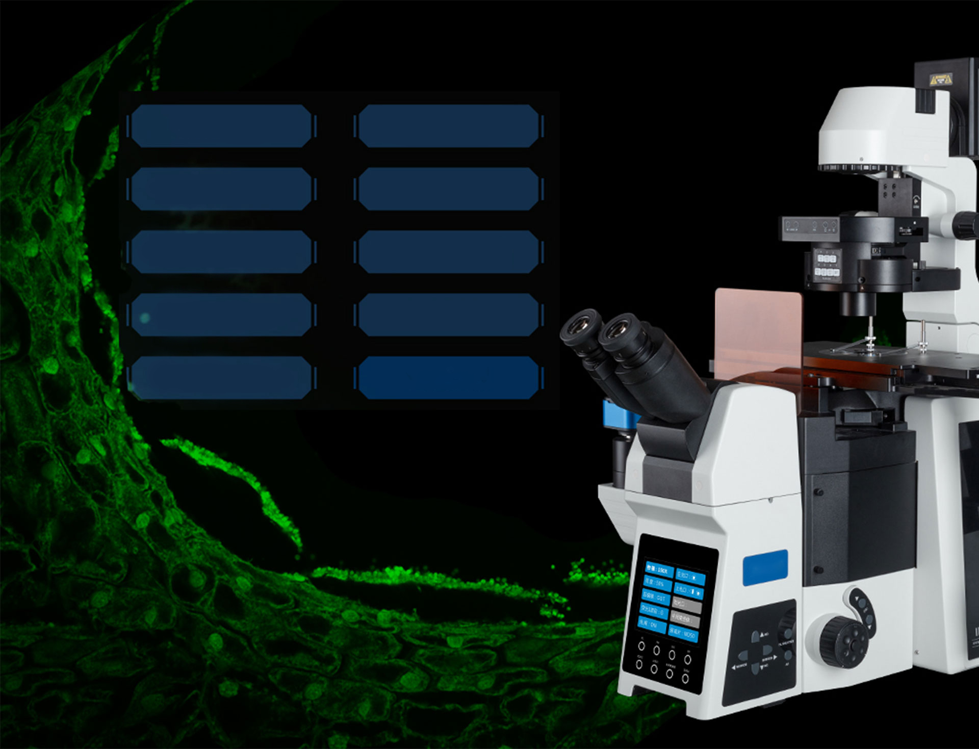 Superior Optics for Confocal Imaging.