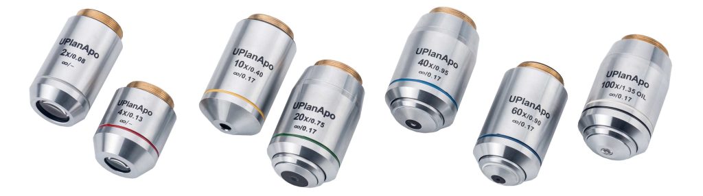 BCF297 Laser Scanning Confocal Microscopy