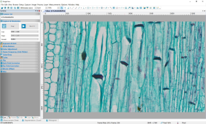 User Guide for ImageView Microscope Camera Software