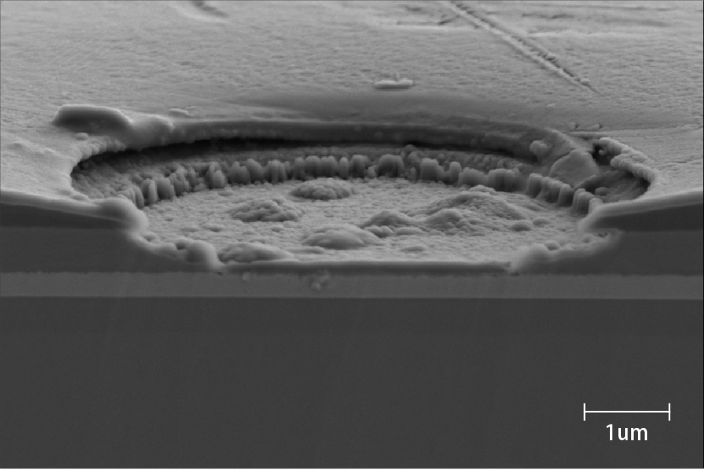 BSEM-500 Field Emission Scanning Electron Microscope BSEM-500 Field Emission Scanning Electron Microscope