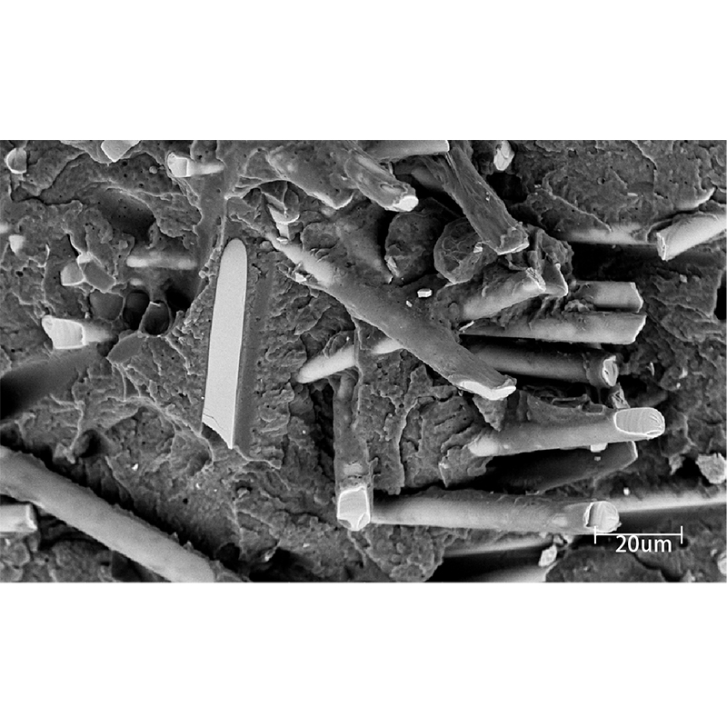 BSEM-400 Field Emission Scanning Electron Microscope BSEM-400 Field Emission Scanning Electron Microscope