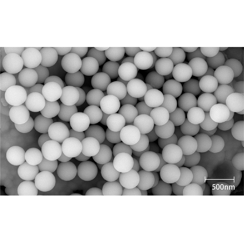 BSEM-400 Field Emission Scanning Electron Microscope BSEM-400 Field Emission Scanning Electron Microscope