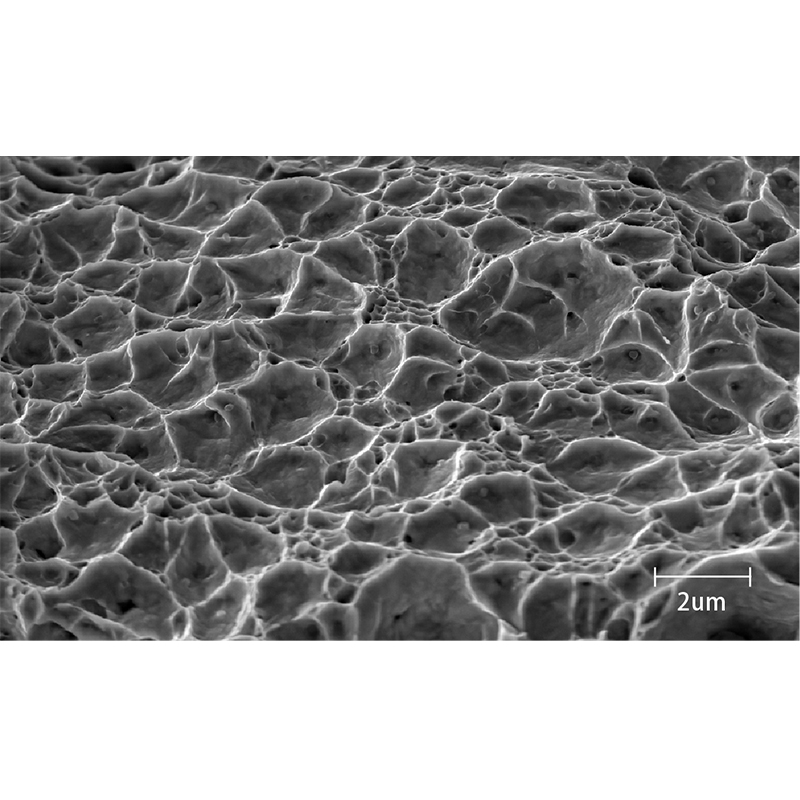 BSEM-400 Field Emission Scanning Electron Microscope BSEM-400 Field Emission Scanning Electron Microscope
