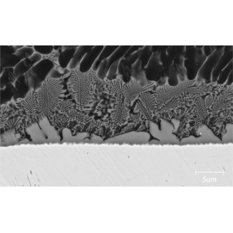 BSEM-400 Field Emission Scanning Electron Microscope BSEM-400 Field Emission Scanning Electron Microscope