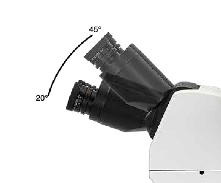BS-2097MM Research Inverted Microscope with Micromanipulator Configuration