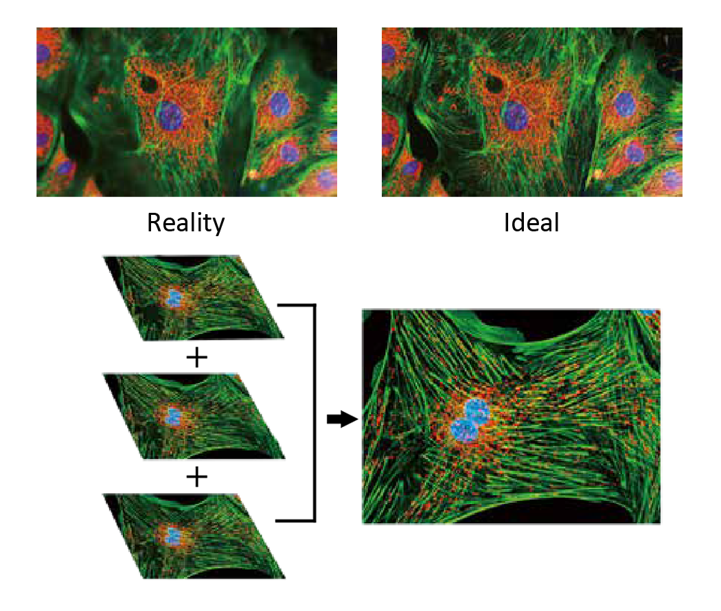 BS-2097MM Research Inverted Microscope with Micromanipulator Configuration