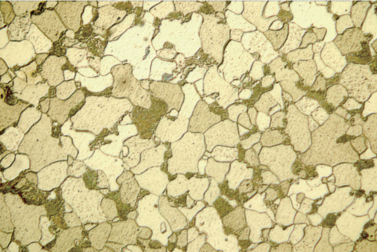 BS-6035 Inverted Metallurgical Microscope