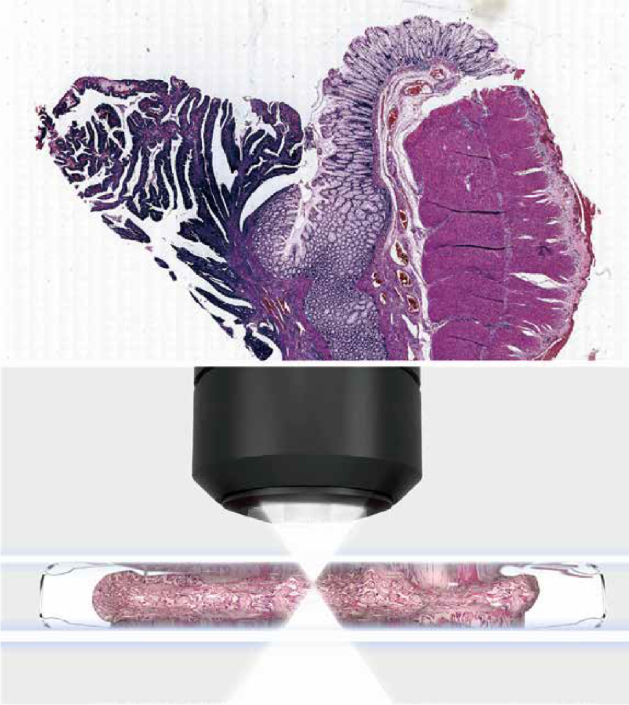 Scanpro2-200 Digital Pathology Section Scanner