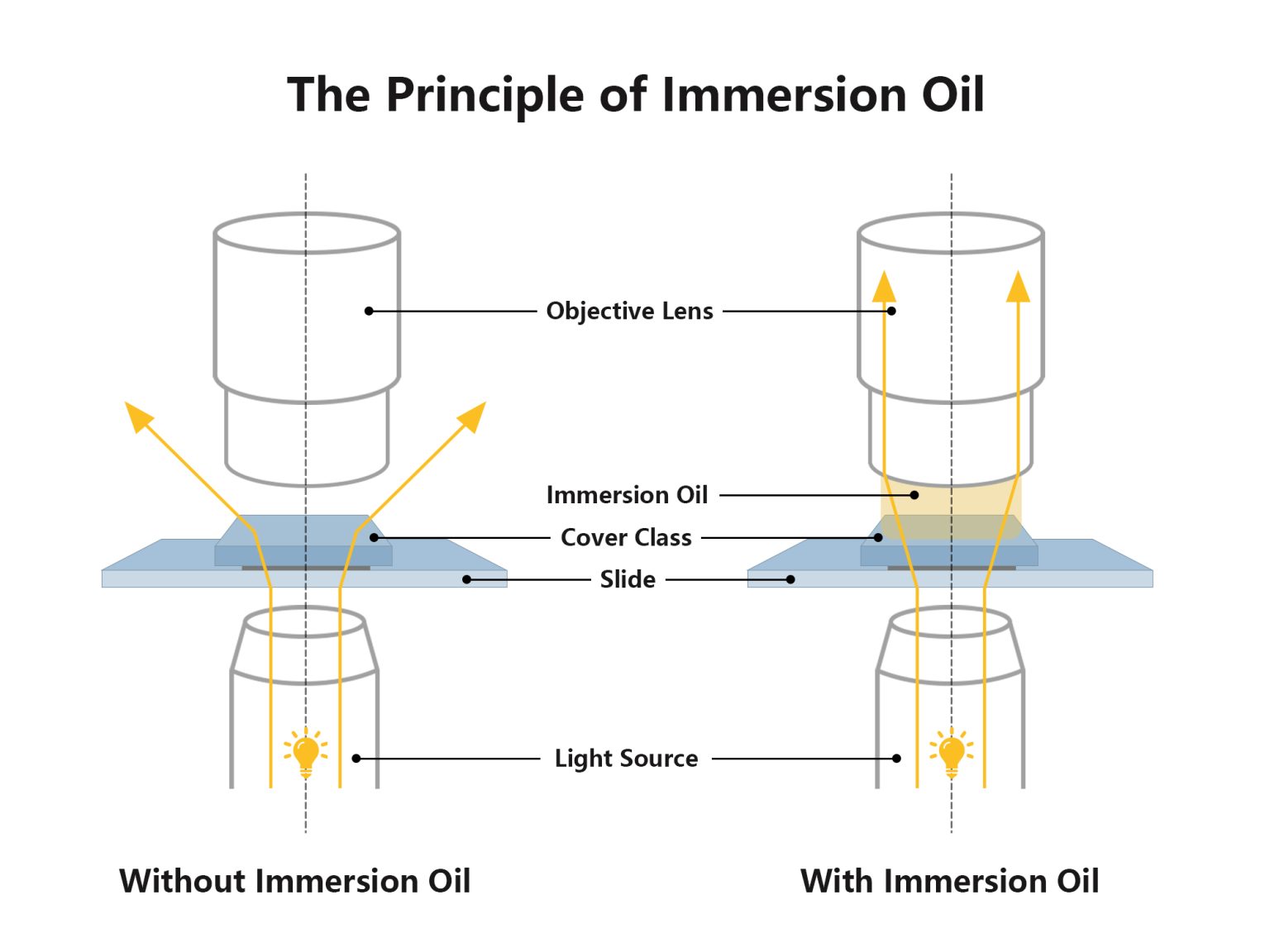 What is Microscope Immersion Oil?