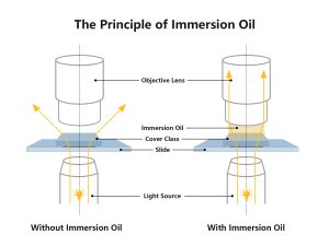 What is Microscope Immersion Oil?