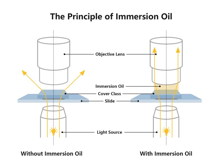 What is Microscope Immersion Oil?