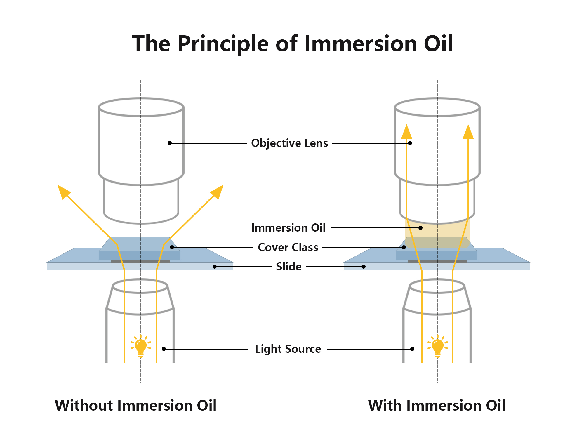 What is Microscope Immersion Oil?