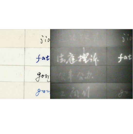 VSC-200 Video Spectral Comparator