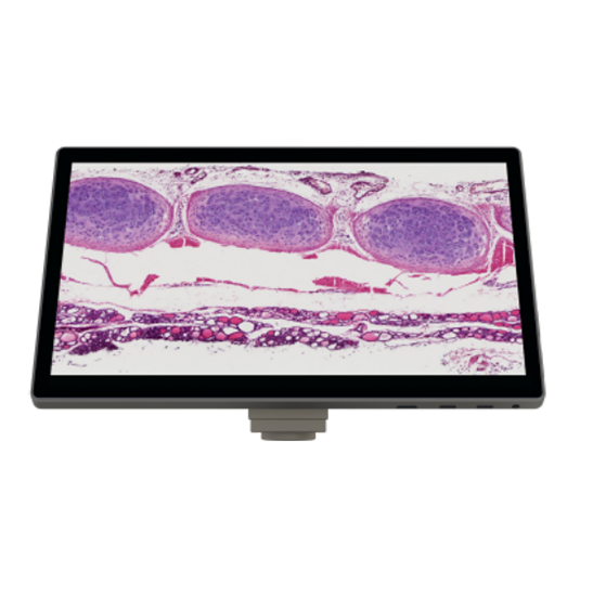 BLM4-320 LCD Digital Zoom Stereo Microscope